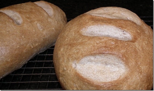 Baking And Boys!: Blessed Bread, No Knead Bread and Honey Whole Wheat Bread
